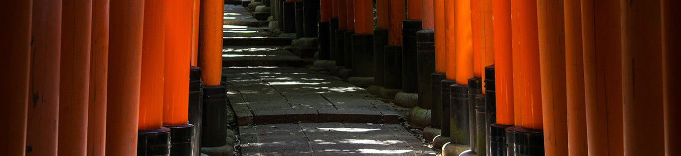 Kenjo Collection - Outdoor Japanese Garden Style Tile - OUTERclé